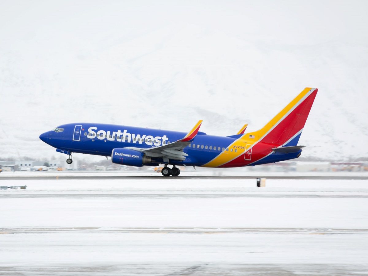 Back to School | Halldale Group